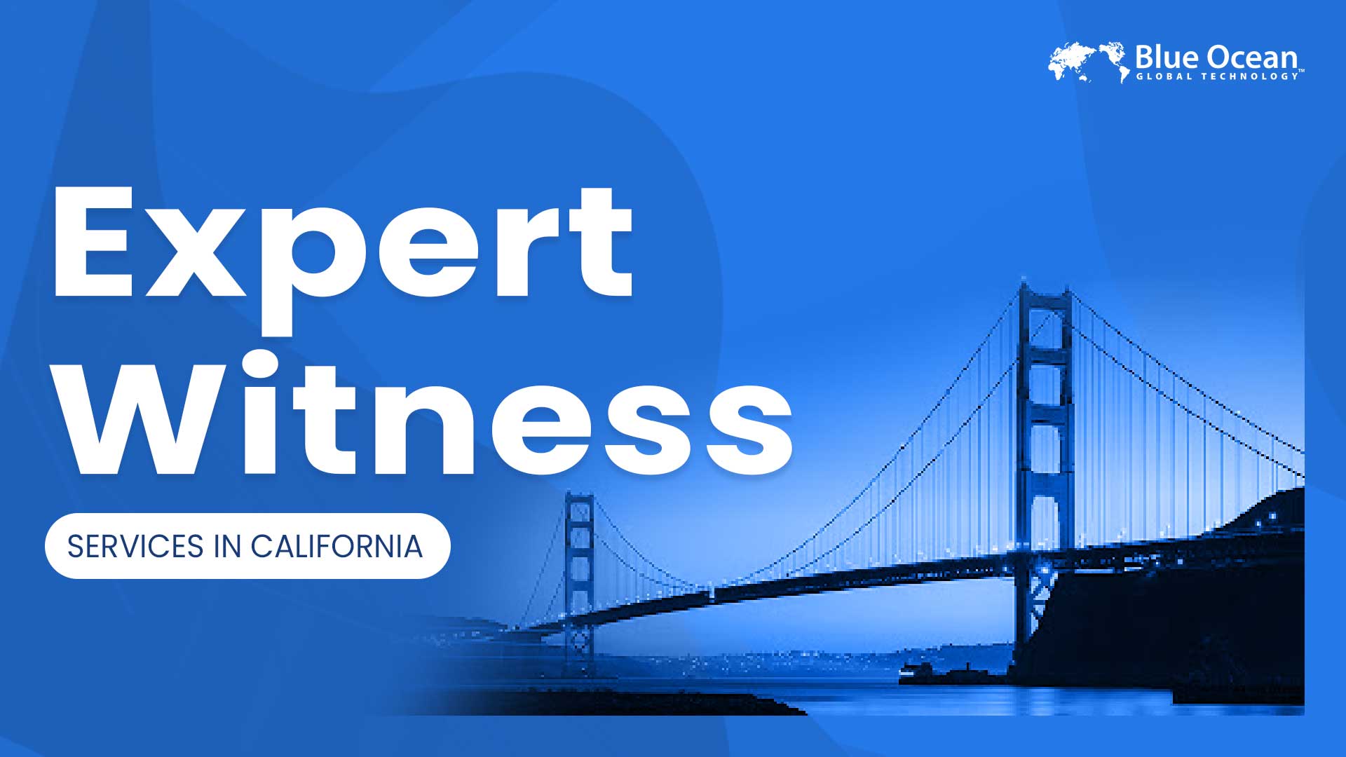 Expert Witness Services California