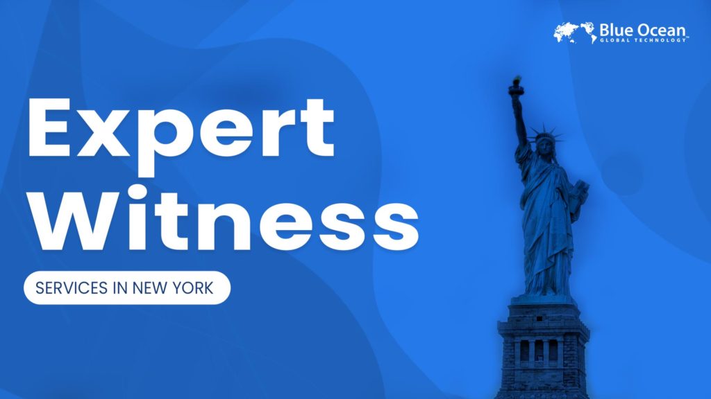 Utility Expert Witness Services